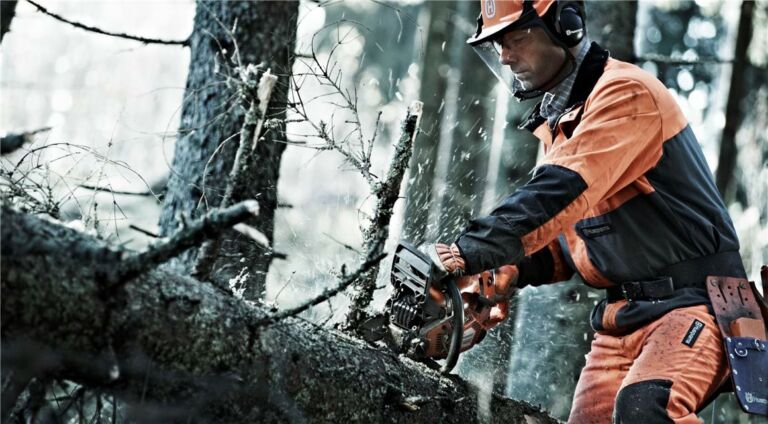 Chainsaw Safety Training - C&R Safety Training Solutions